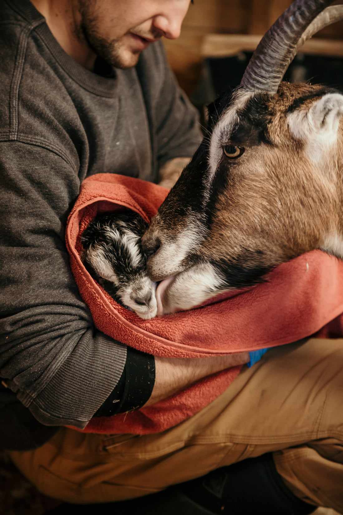 Goat Kidding Kit Essentials – Crooked Chimney Farm